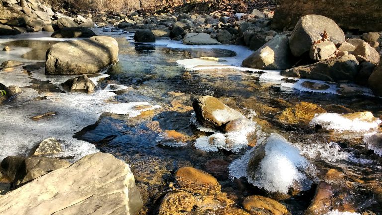 Sequatchie Valley Institute | research and education in sustainable living